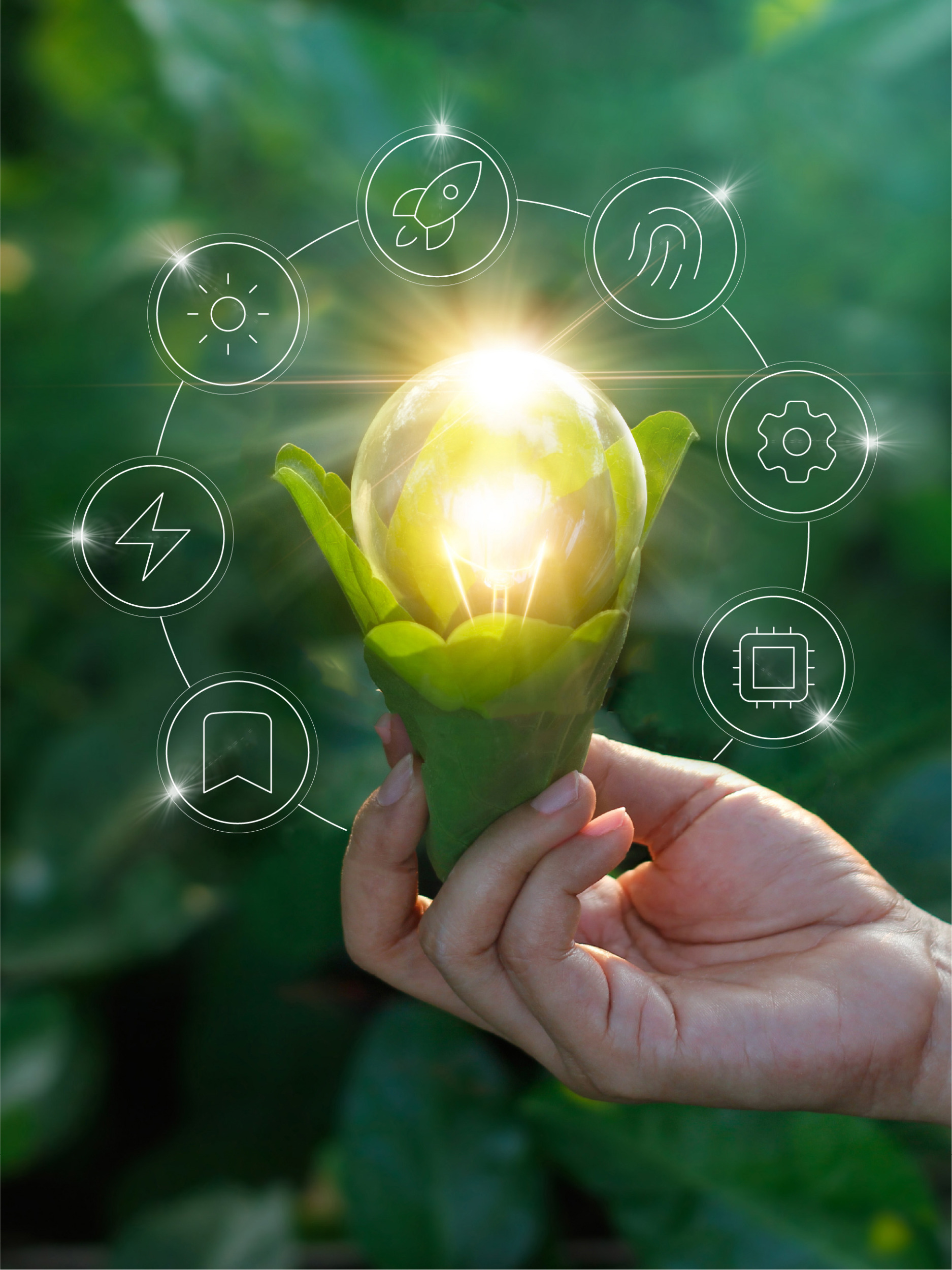 Next horizon innovations - Seaborough